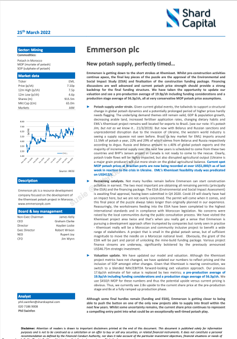 Investment Case Emmerson Plc